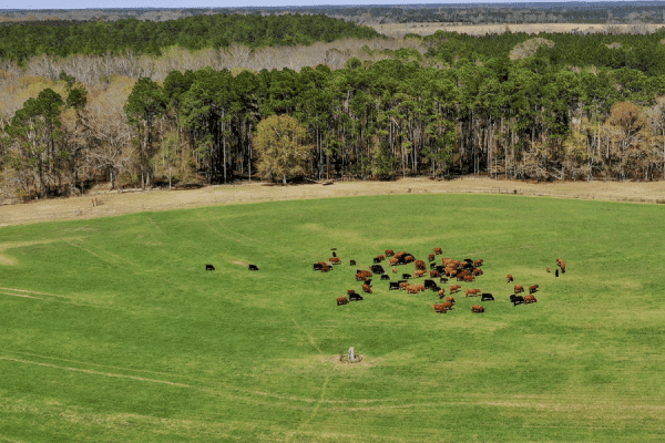 Mitchell Family Farms l Our Story